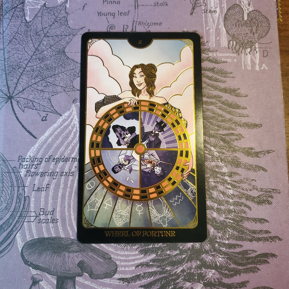 Patience and the Wheel – Lisa MoonCat NW Spiritualist